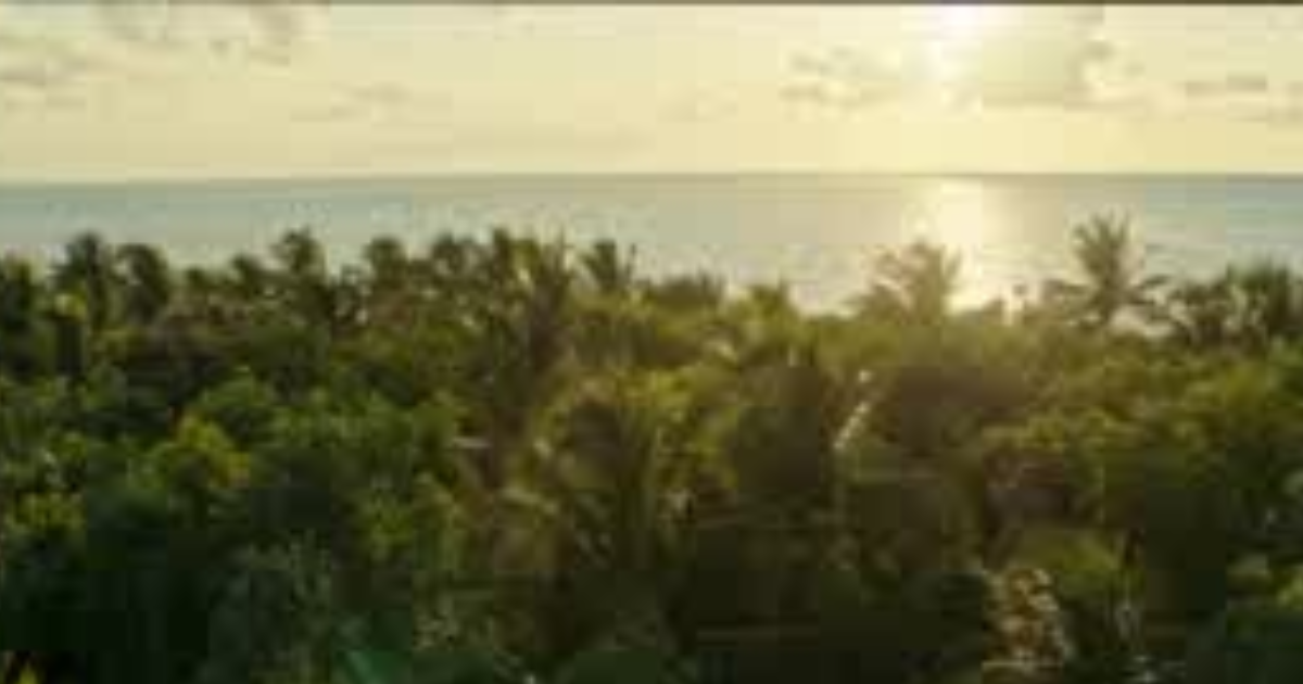 The Inclusive Collection - January